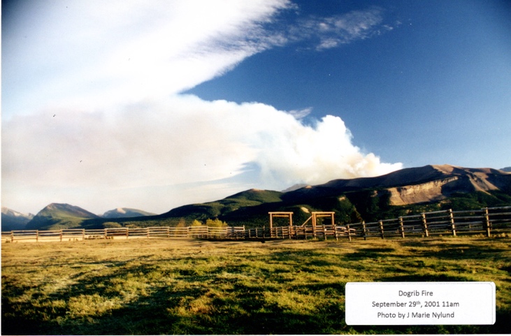 Memories of the Dogrib Fire 2001 | Canadian National Park Warden Alumni